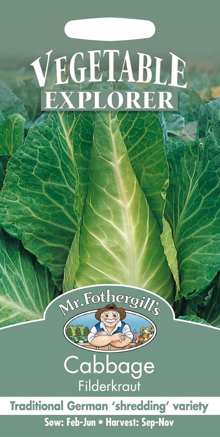 Mr Fothergills - Pictorial Packet - Vegetable - Cabbage Filderkraut ...