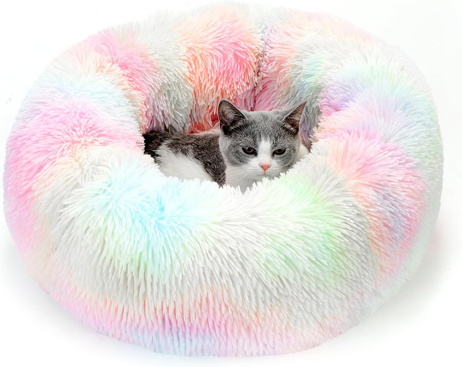 Amazon.com : KSSDLSM Cat Dog Beds for Indoor Cats， Fluffy Round ...