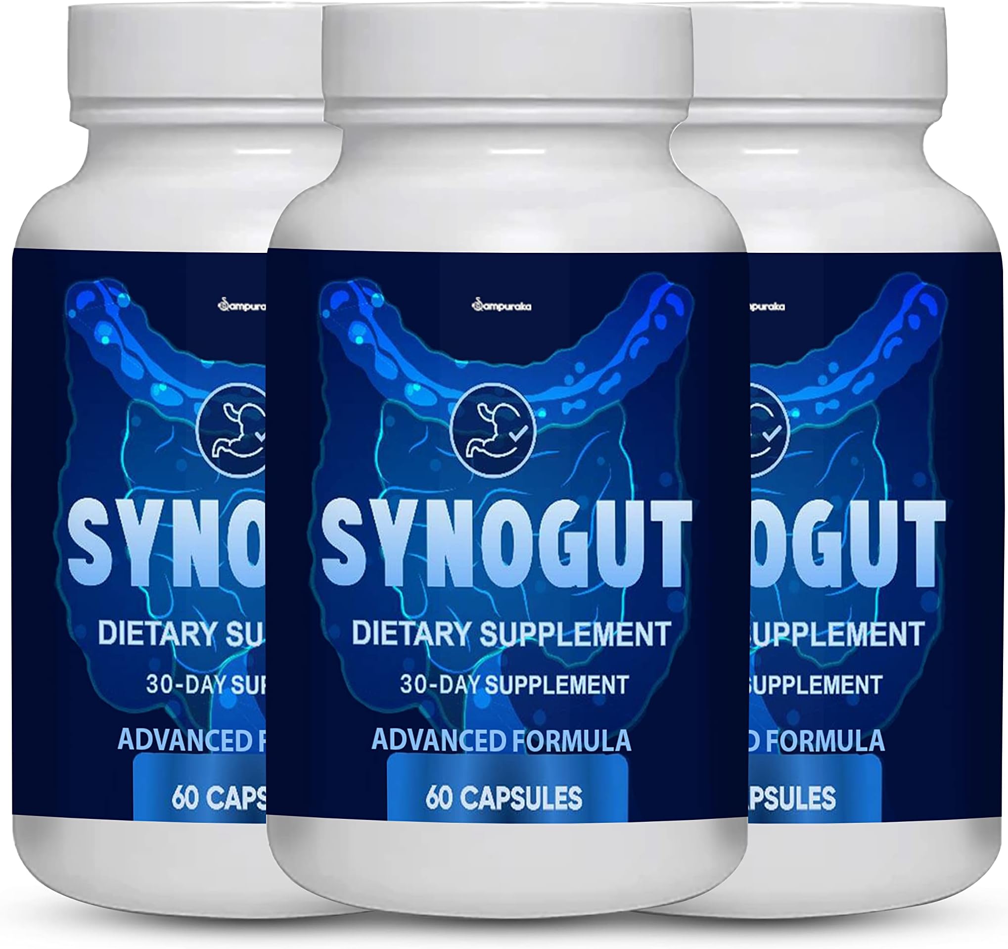 Amazon.com: Synogut Advanced Formula 3 Bottle : Health & Household