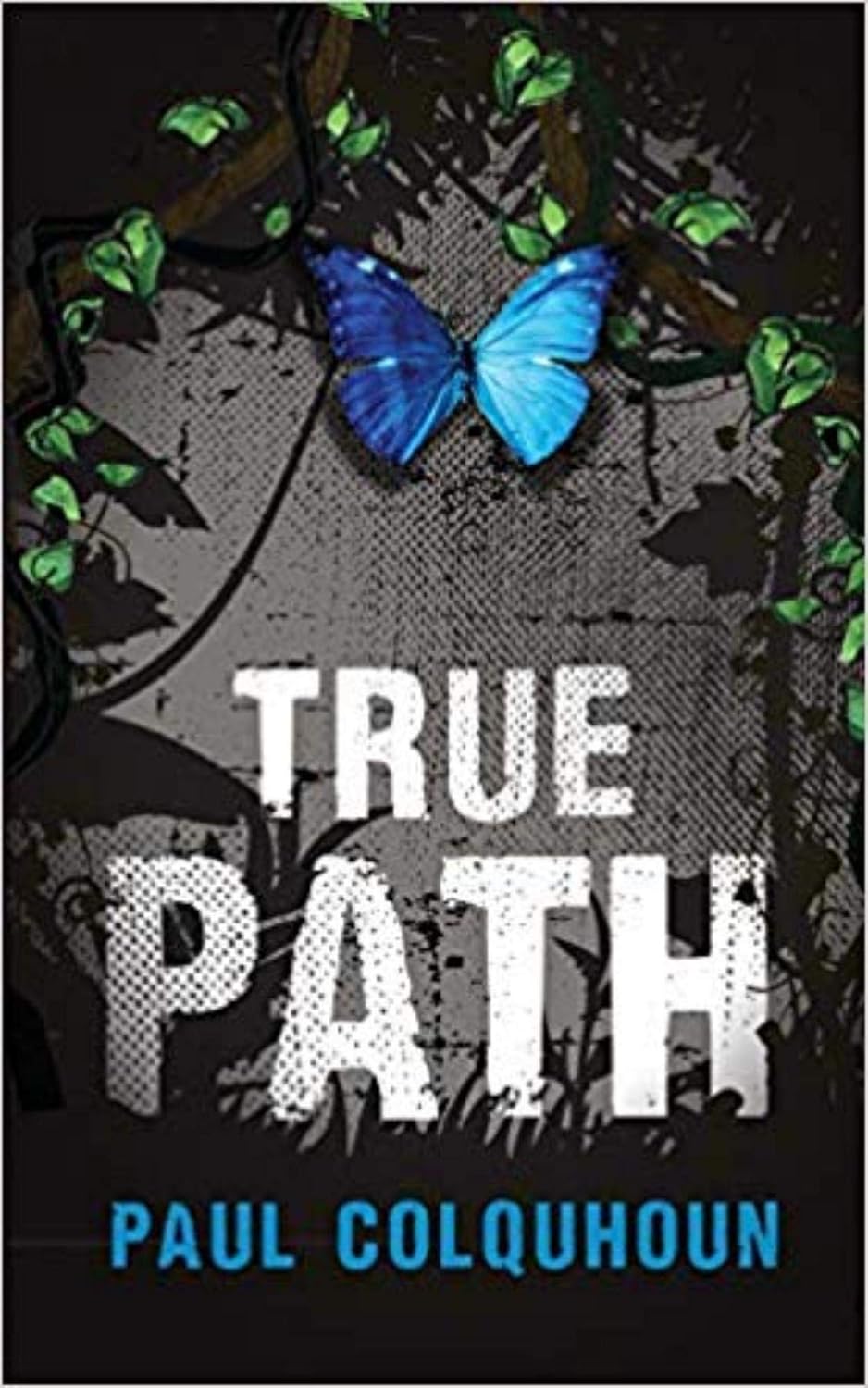True Path - Evolving - Kindle edition by Colquhoun, Mr Paul. Religion ...