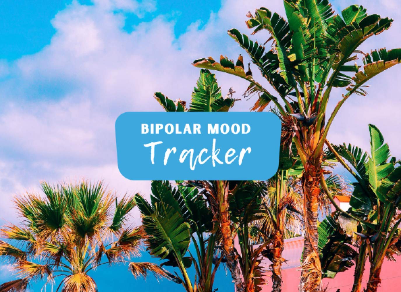 Buy Bipolar Mood Tracker: Record And Monitor Your Mental And General ...