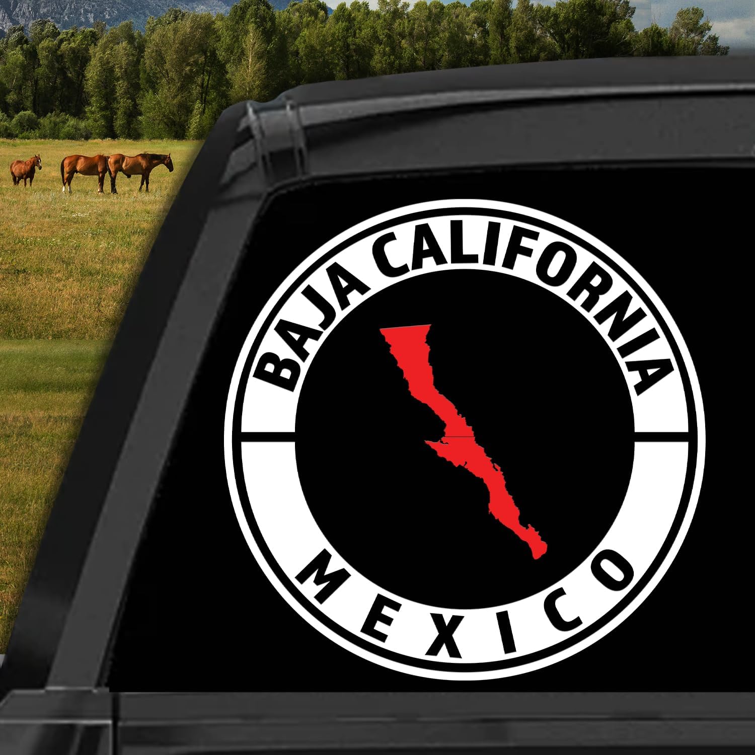 Amazon.com - Baja California Mexico Calcomania para Carro Decal Sticker ...