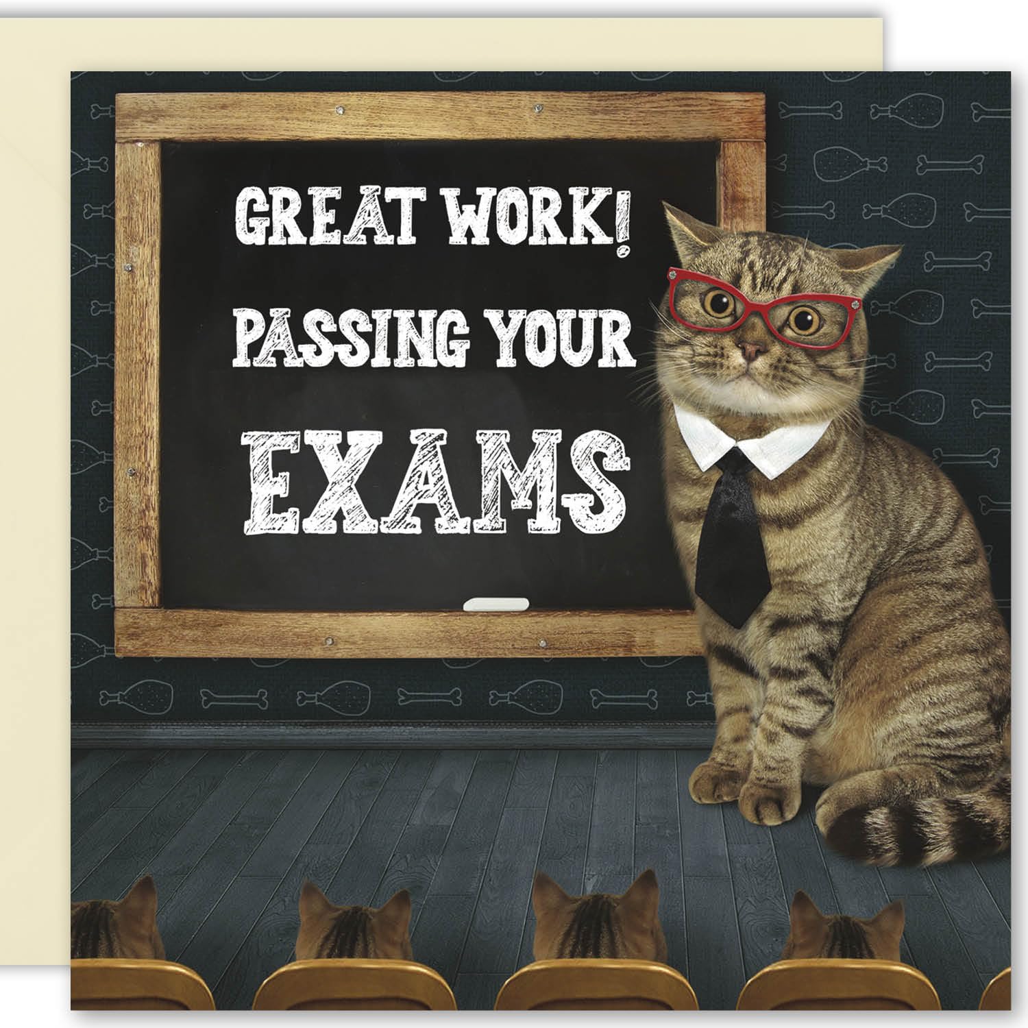 Cult Kitty Exam Congratulations Card - Great Work Passing Exams ...
