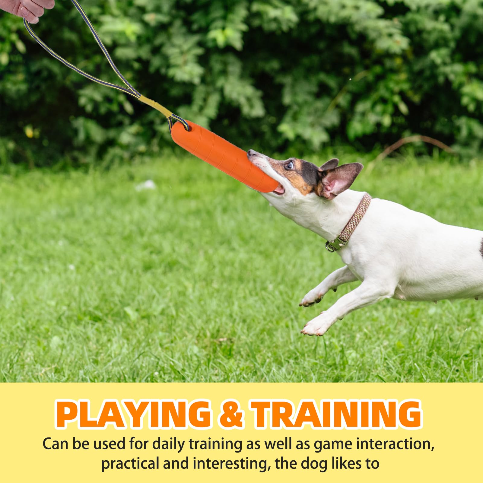 Snapklik.com : Interactive Dog Pool Toys Water Floating Toys Fetch ...