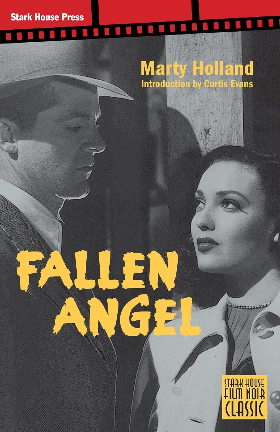 Fallen Angel: Holland, Marty, Evans, Curtis: 9798886010190: Books ...