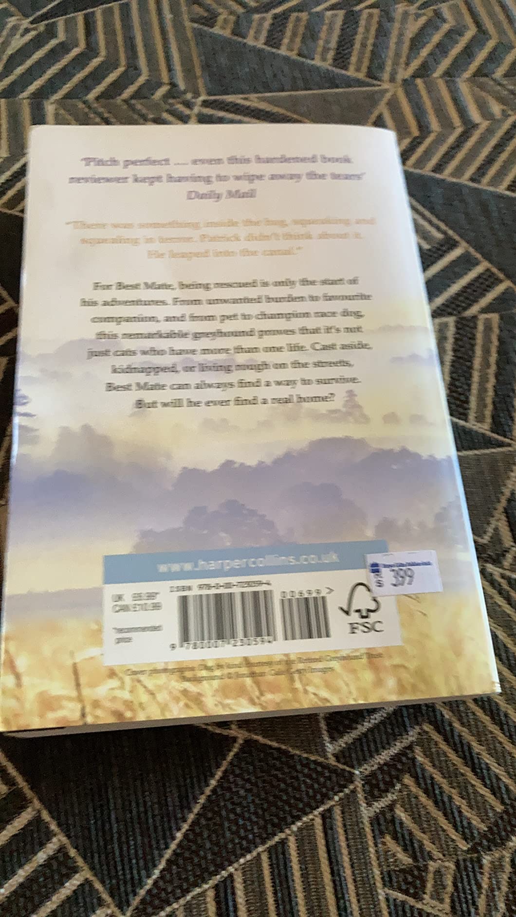 Born to Run : Morpurgo, Michael, Michael Foreman: Amazon.in: Books