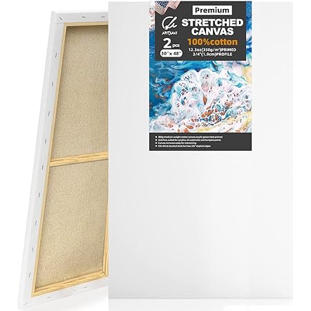 Amazon.com: Large Canvas for Painting, 2 Pack 30x40" White Pre ...