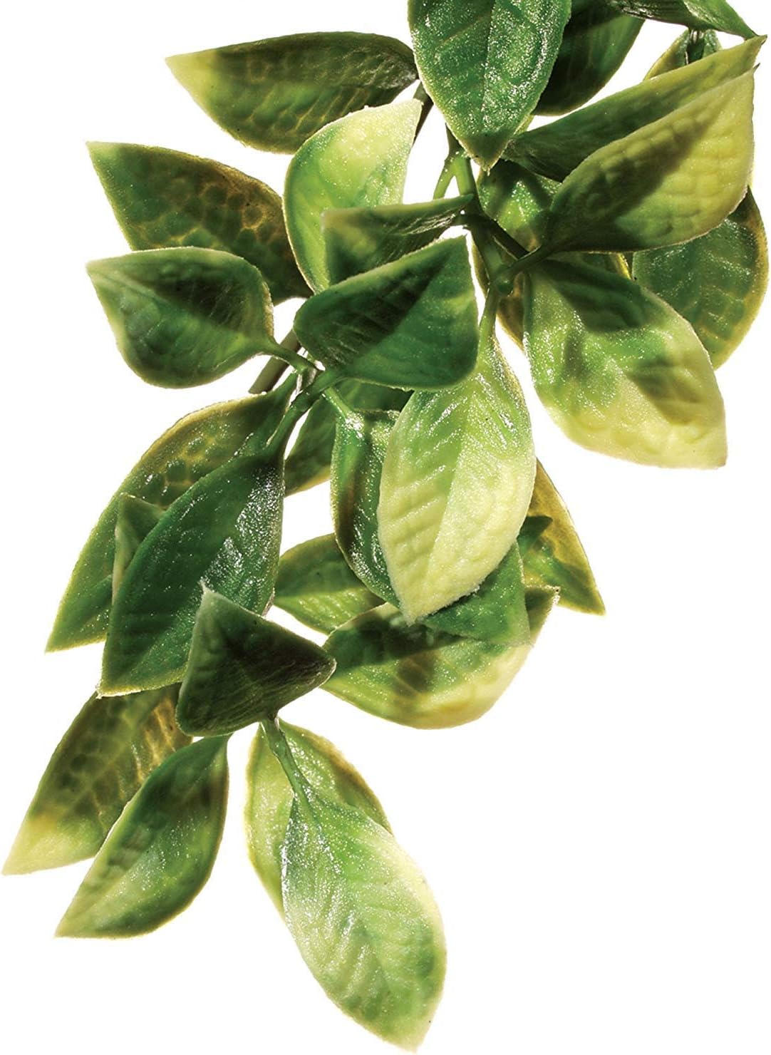 EXO TERRA Planta De Mandarina De Pl stico Grande Amazon es exo-terra-planta-de-mandarina-de-pl-stico-grande-amazon-es