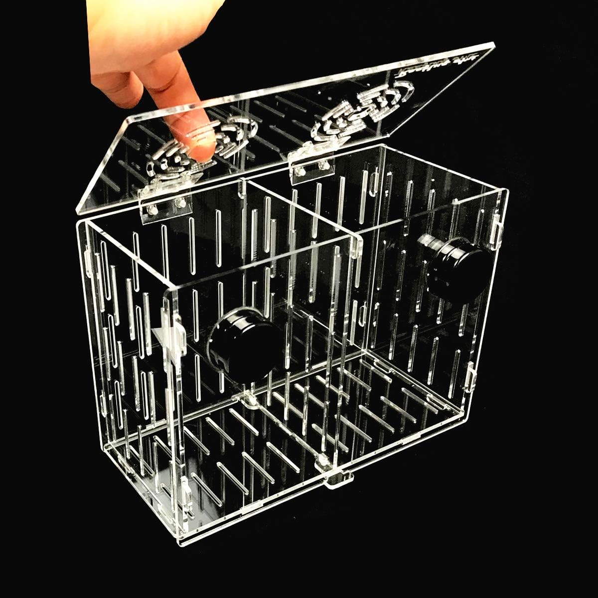 Amazon.com : TL Reefs Mushroom Coral/Fish Acclimation Box : Pet Supplies