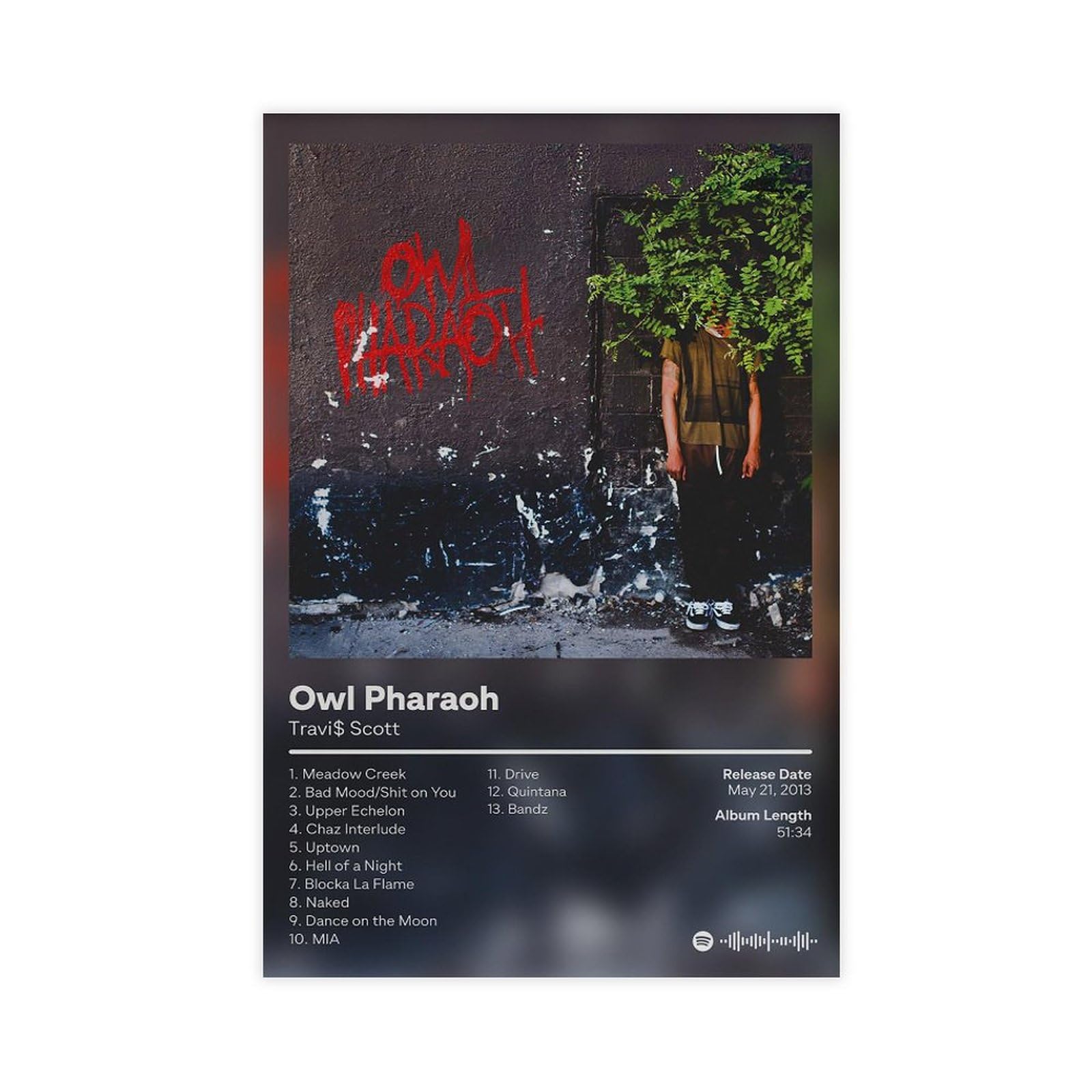 Paraoh Album Cover Owl