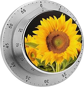 Amazon.com: Mechanical Kitchen Timer 60 Minute Wind Up Timer with ...