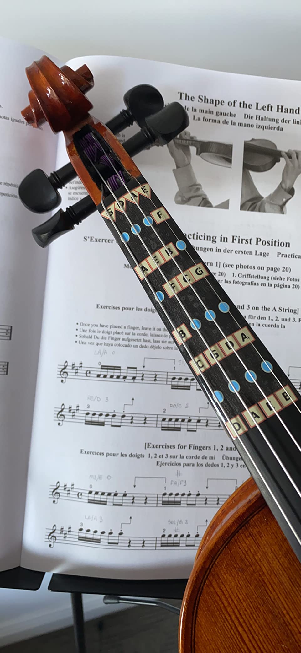 Fantastic Finger Guide for Violins Kids/Adult Beginner | Stringed ...