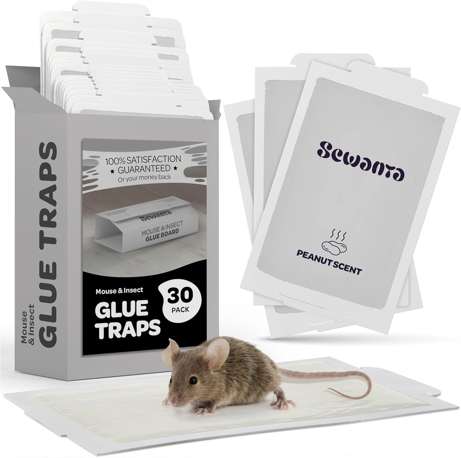 Amazon.com : Glue Traps [30 Pack] Pre-Baited Mouse Traps - Ultra ...