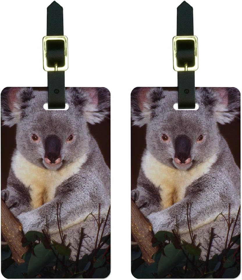 Amazon.com: Koala Bear Luggage Tags Suitcase Carry-On ID Set of 2 ...