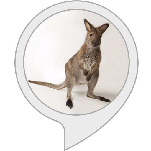 Amazon.com: wacky wallaby : Alexa Skills
