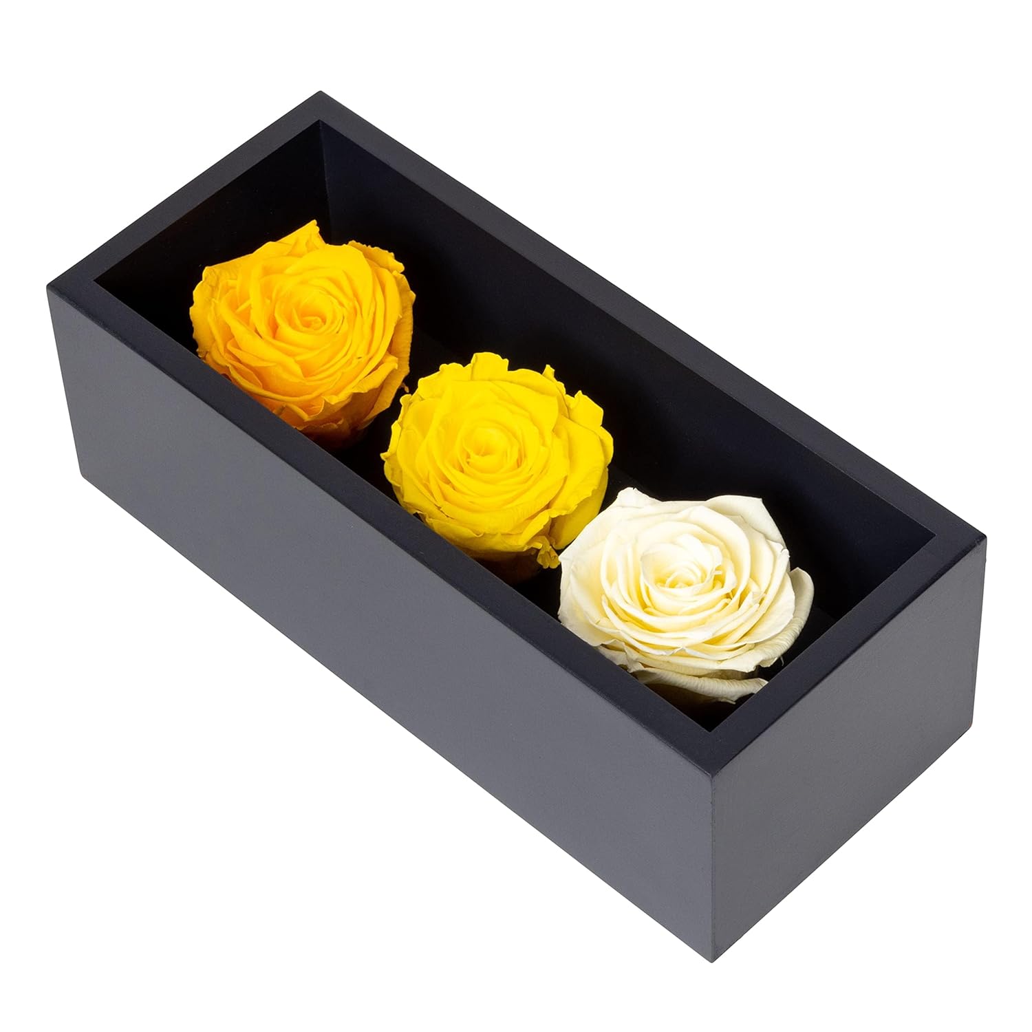 Amazon.com: Khiva Preserved Roses in Box, 3 Yellow Birthday Flowers for ...