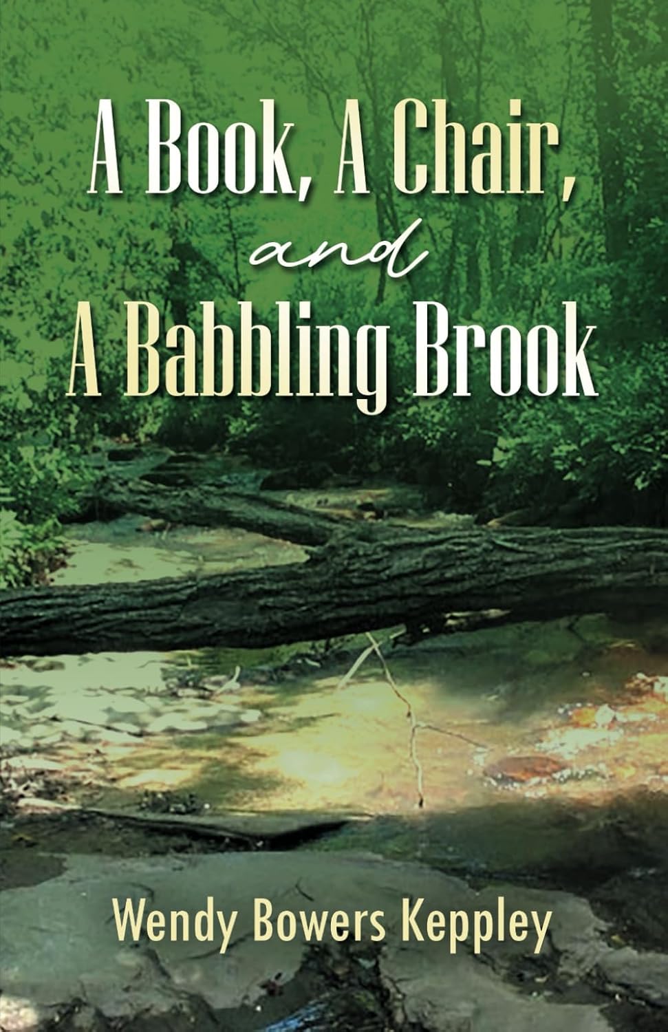 A Book, a Chair, and a Babbling Brook: Keppley, Wendy Bowers ...