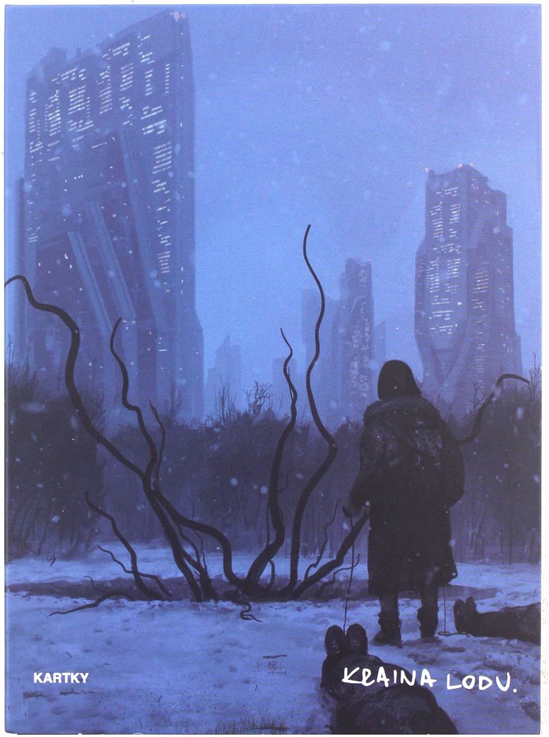 Kartky: Kraina Lodu [CD] by Kartky: Amazon.co.uk: CDs & Vinyl