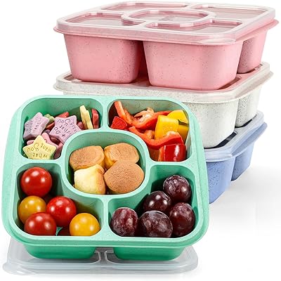 Amazon.com: CIGENBON Bento Snack Boxes 4 Pack, Reusable Bento Boxes ...