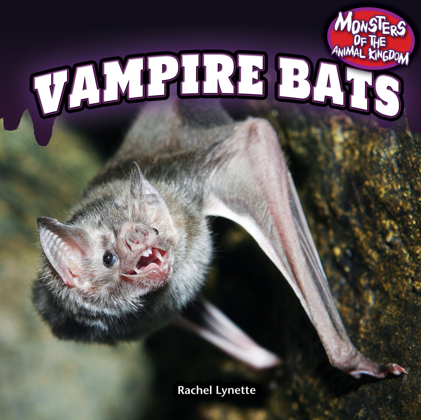 Vampire Bats (Monsters of the Animal Kingdom): Lynette, Rachel ...