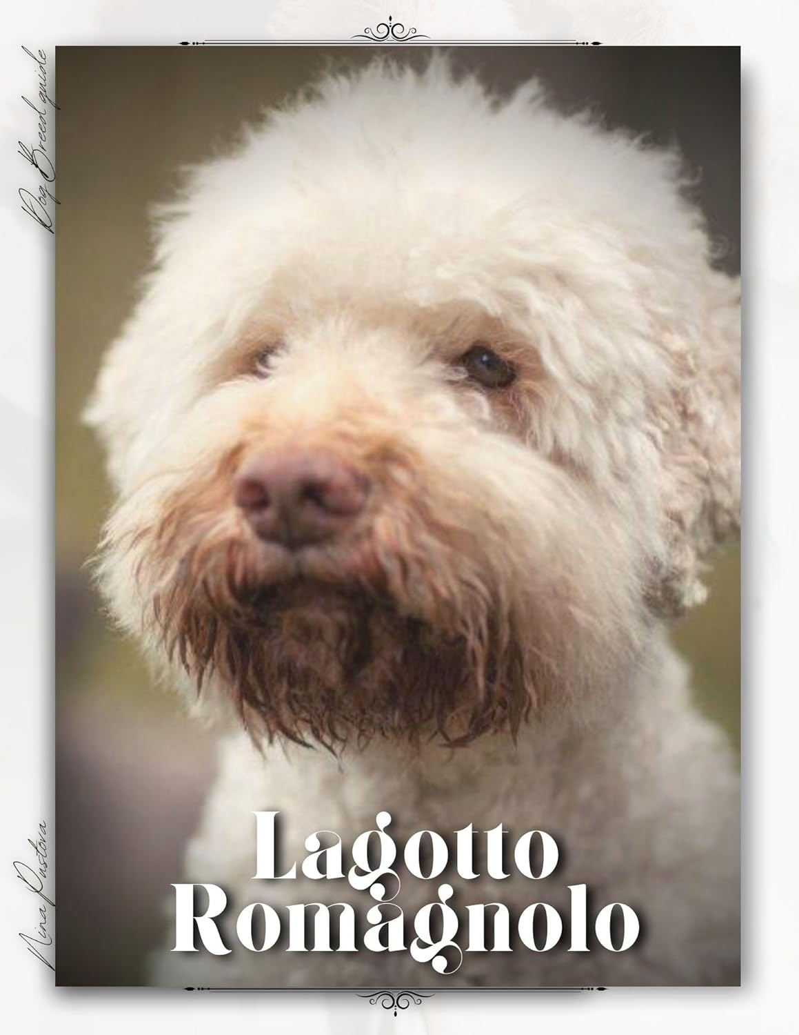 Lagotto Romagnolo: Dog breed overview and guide - Kindle edition by ...