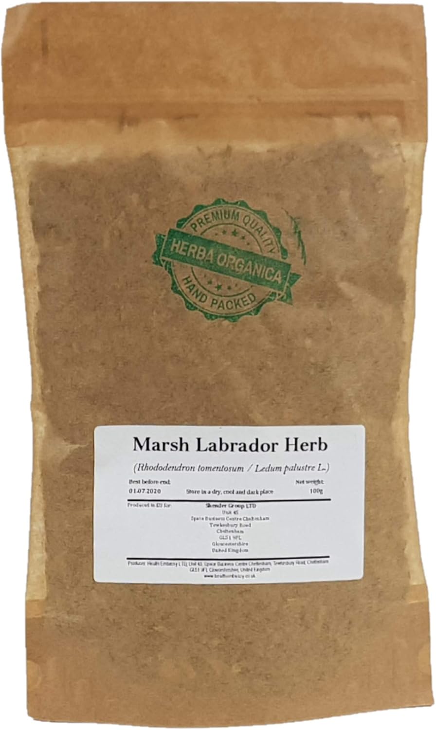 Marsh Labrador Herb Herbal Tea - Rhododendron Tomentosum - Ledum ...