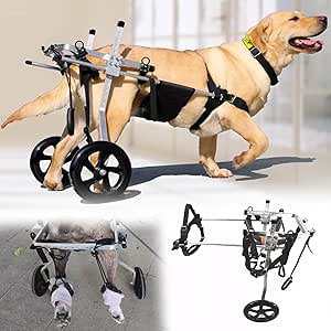 Amazon.co.jp: Walking Wheelchair for Medium and Large Dogs, Pet ...