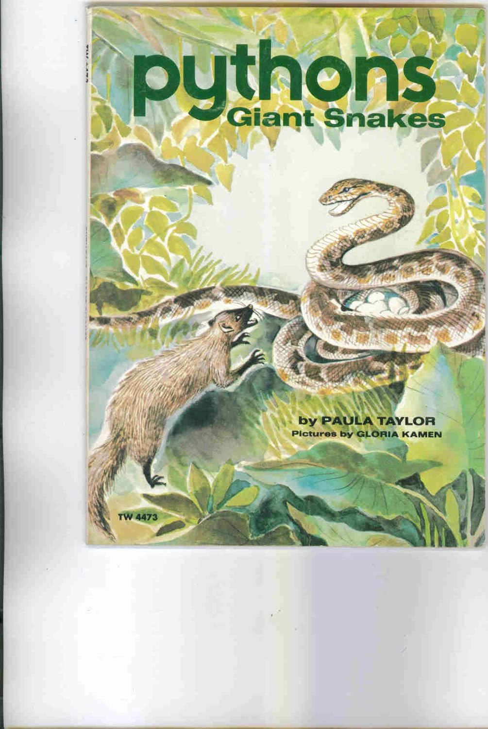 Pythons: Giant snakes: Taylor, Paula: Amazon.com: Books