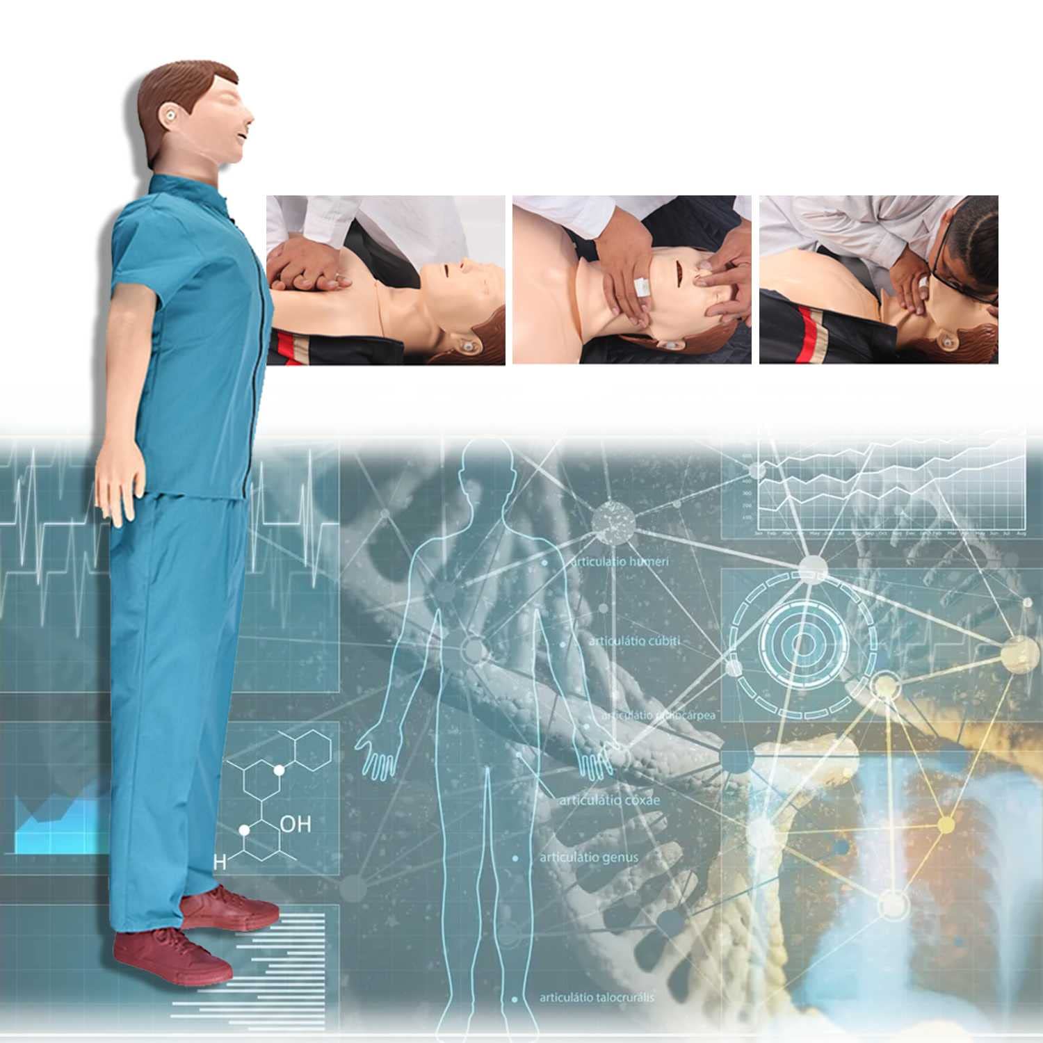 Buy DACUN Manikin Training CPR, Adult Full Body CPR Training Manikin ...