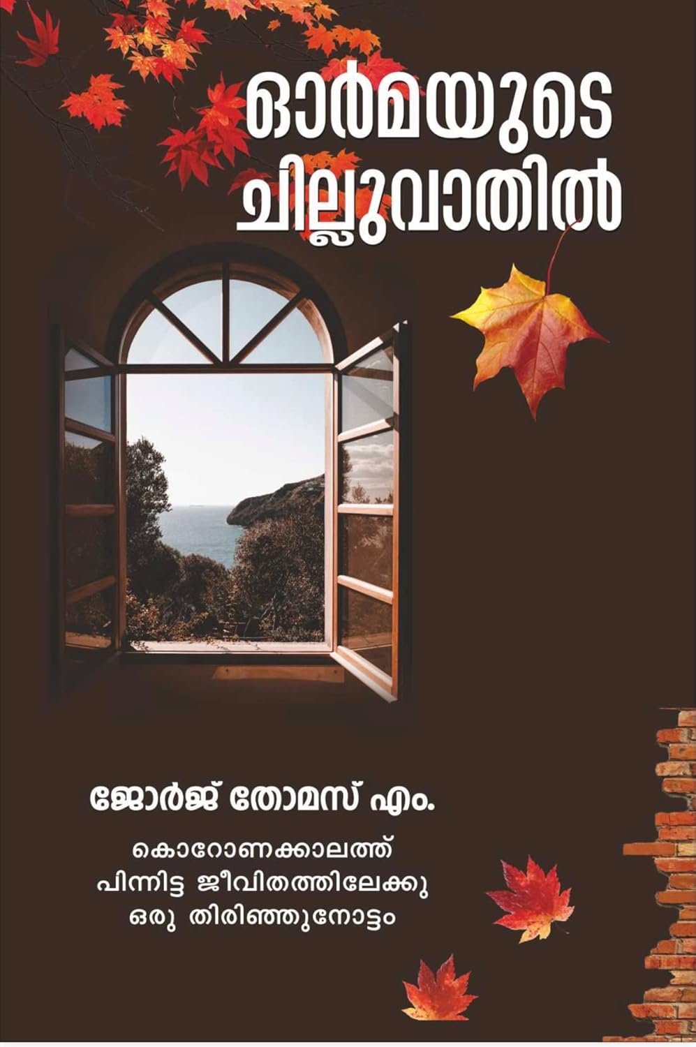 Ormayude Chilluvathil: Trough the window of memories (Malayalam Edition) eBook : Thomas M ...