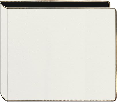Amazon.com: Pioneer Photo Albums 12"x12" Gold Piped Edge Sewn 3-Ring ...