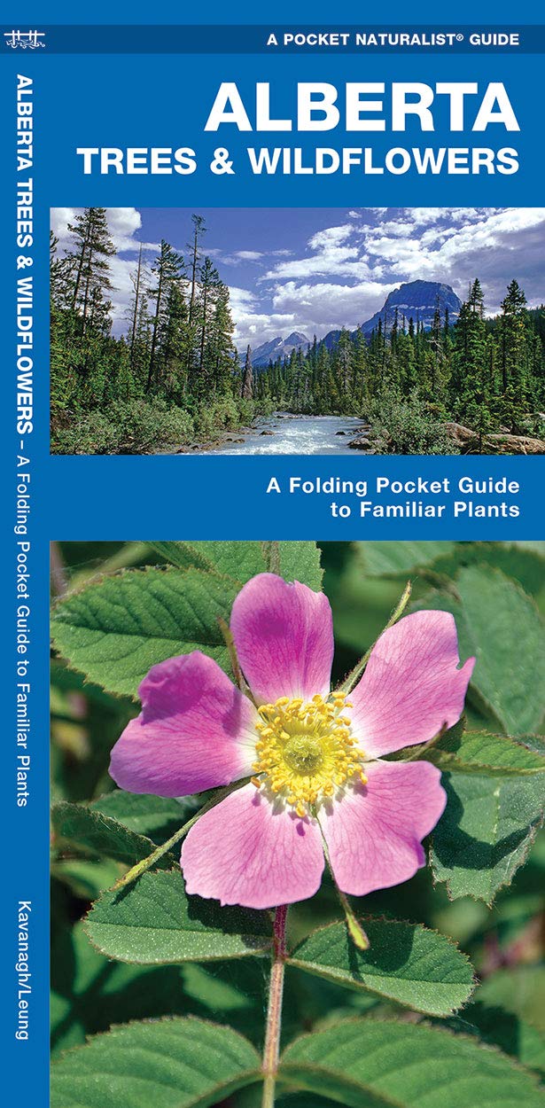 Alberta Trees & Wildflowers: A Folding Pocket Guide to Familiar Plants ...