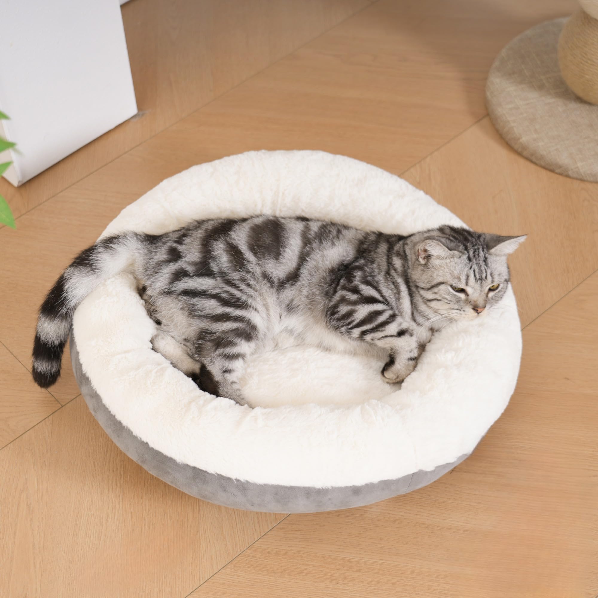 Amazon.com : MARUNDA Self Warming Cat Bed,Super Soft Dog Bed Crate Bed ...
