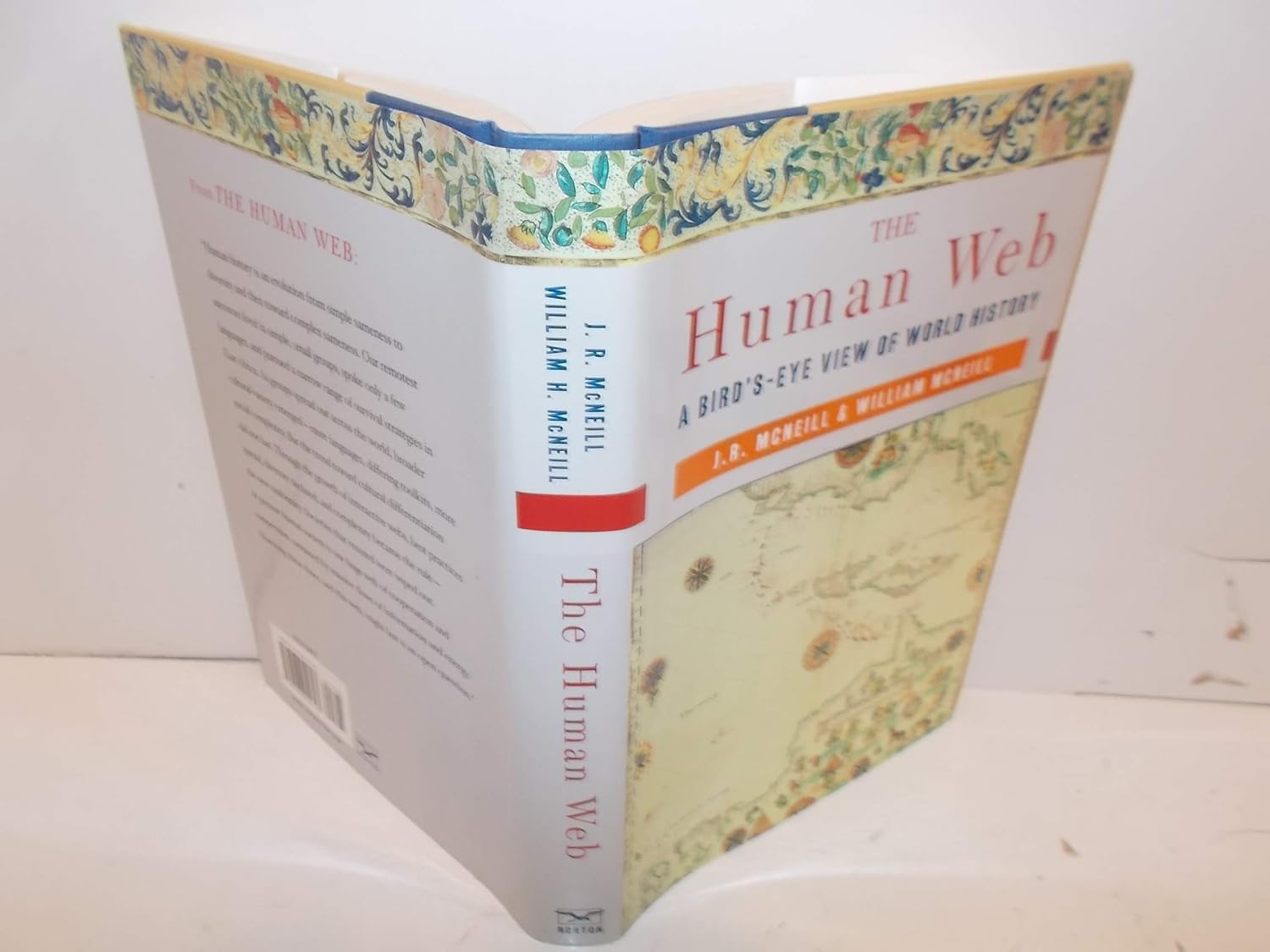The Human Web: A Bird's-Eye View of World History: McNeill, John Robert ...