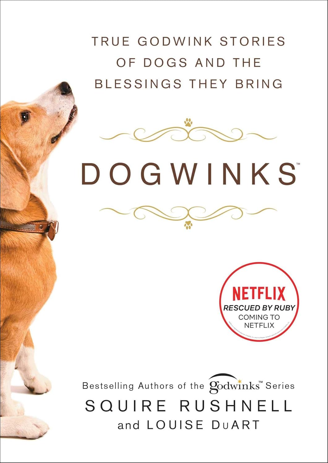 Amazon.com: Dogwinks: True Godwink Stories of Dogs and the Blessings ...