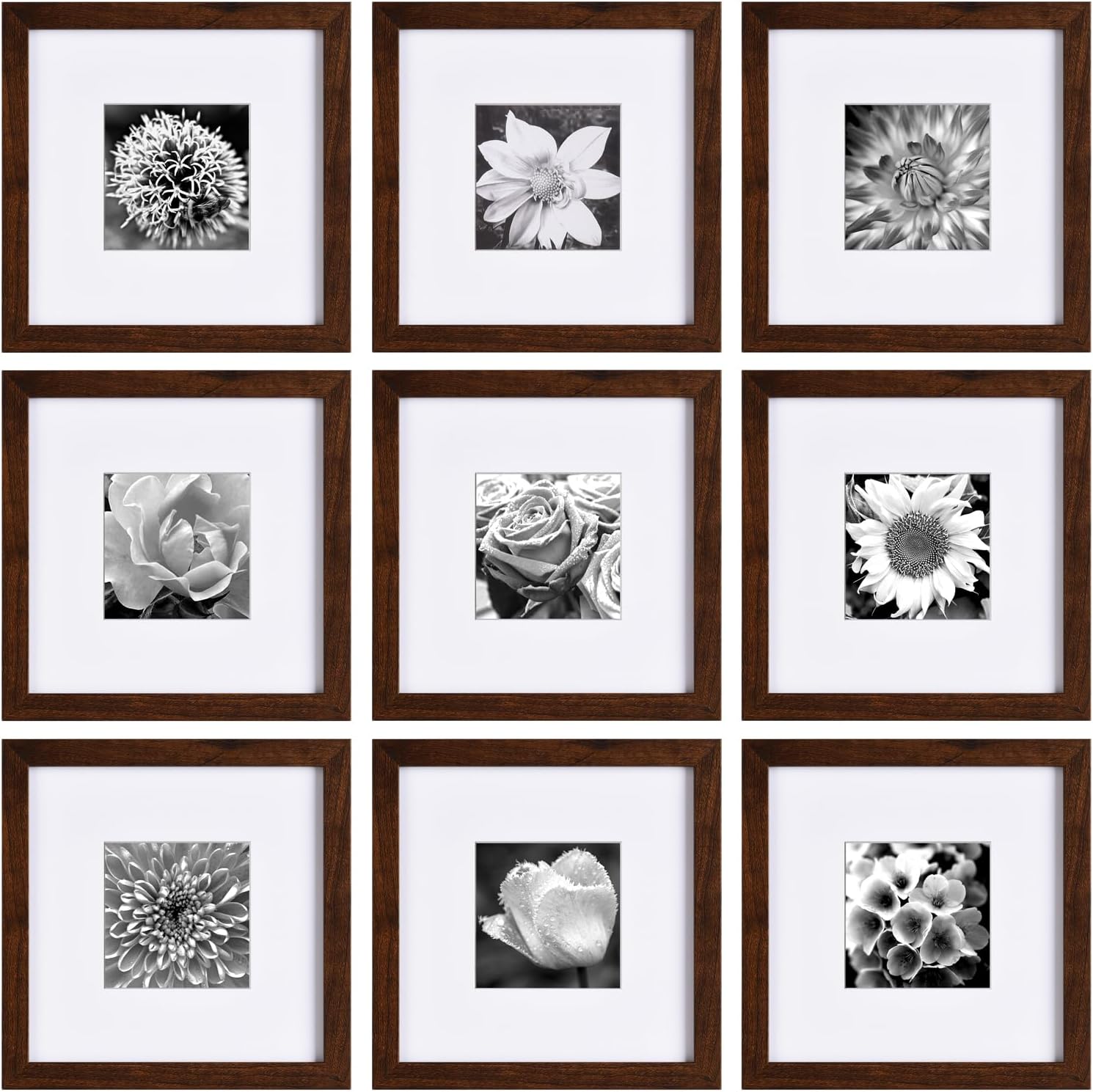 Amazon.com - Sheffield Home 9 Piece Gallery Wall Frame Set, 12x12 Inch ...