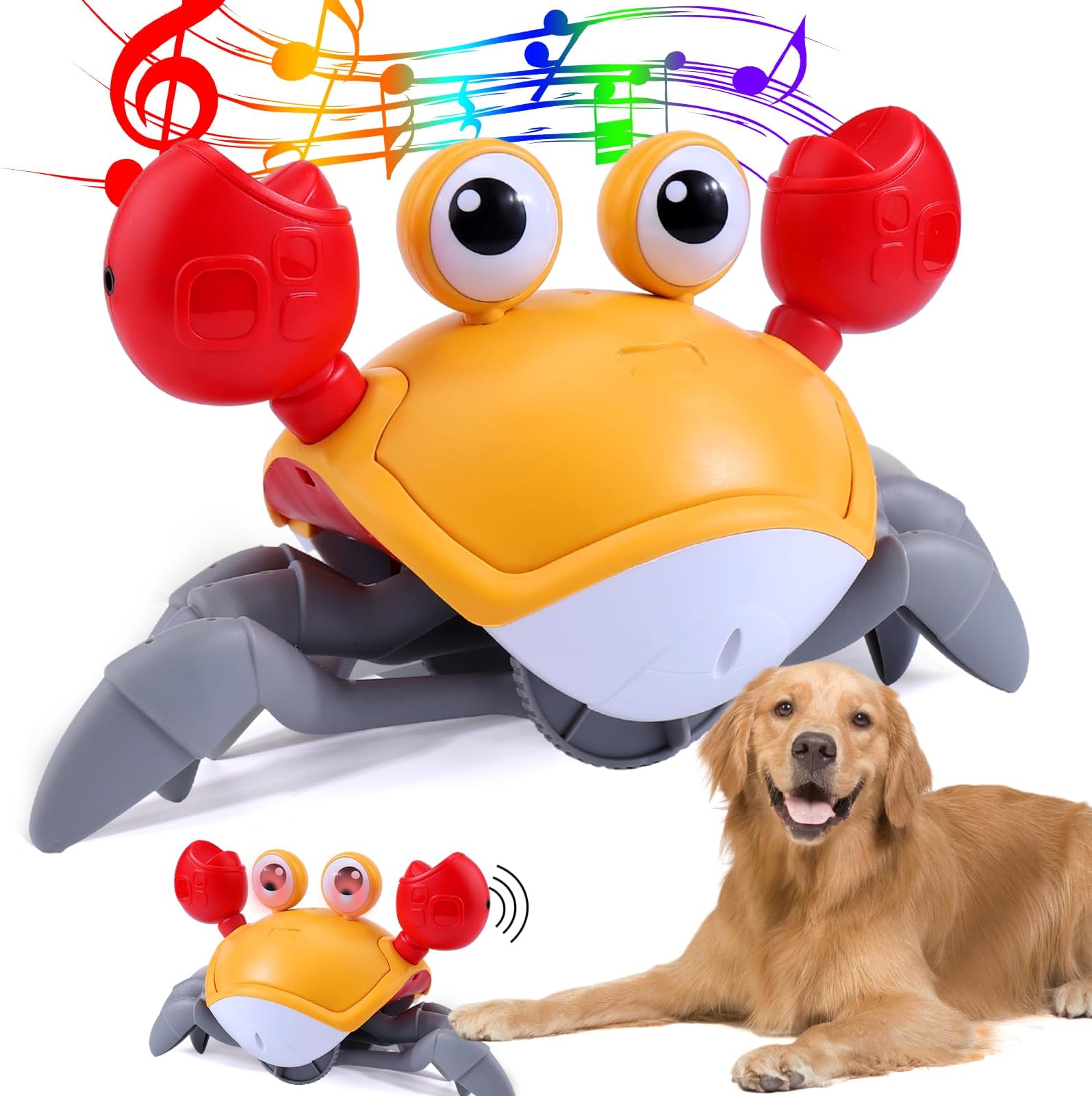 Pet Supplies : gkqlczyy Interactive Dog Toys,Crawling Crab Dog Toys ...
