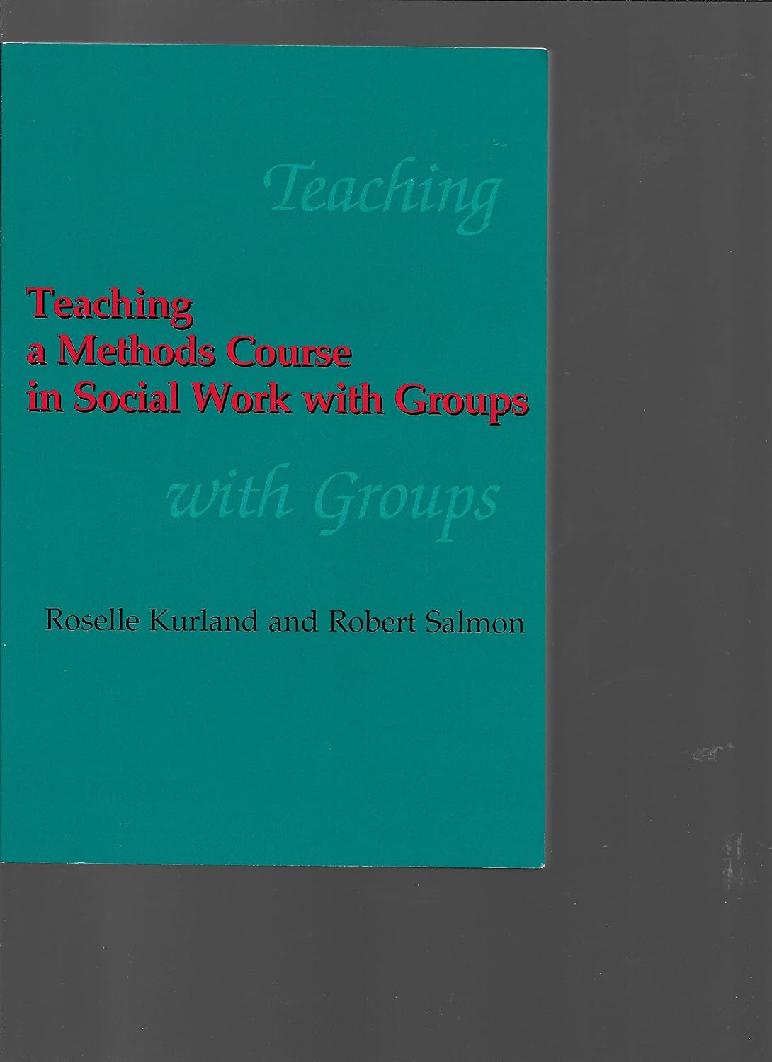 Social Work in Rural Communities(3rd Ed): Ginsberg, Leon H., Ed ...