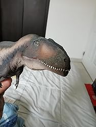 Amazon.com: PNSO Prehistoric Dinosaur Models:68 Mila The Mapusaurus : Books