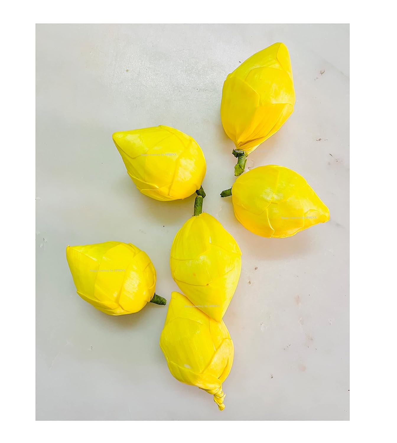 Buy SPHINX Sola Wood Paper Fake Artificial Lotus Bud Flowers for ...