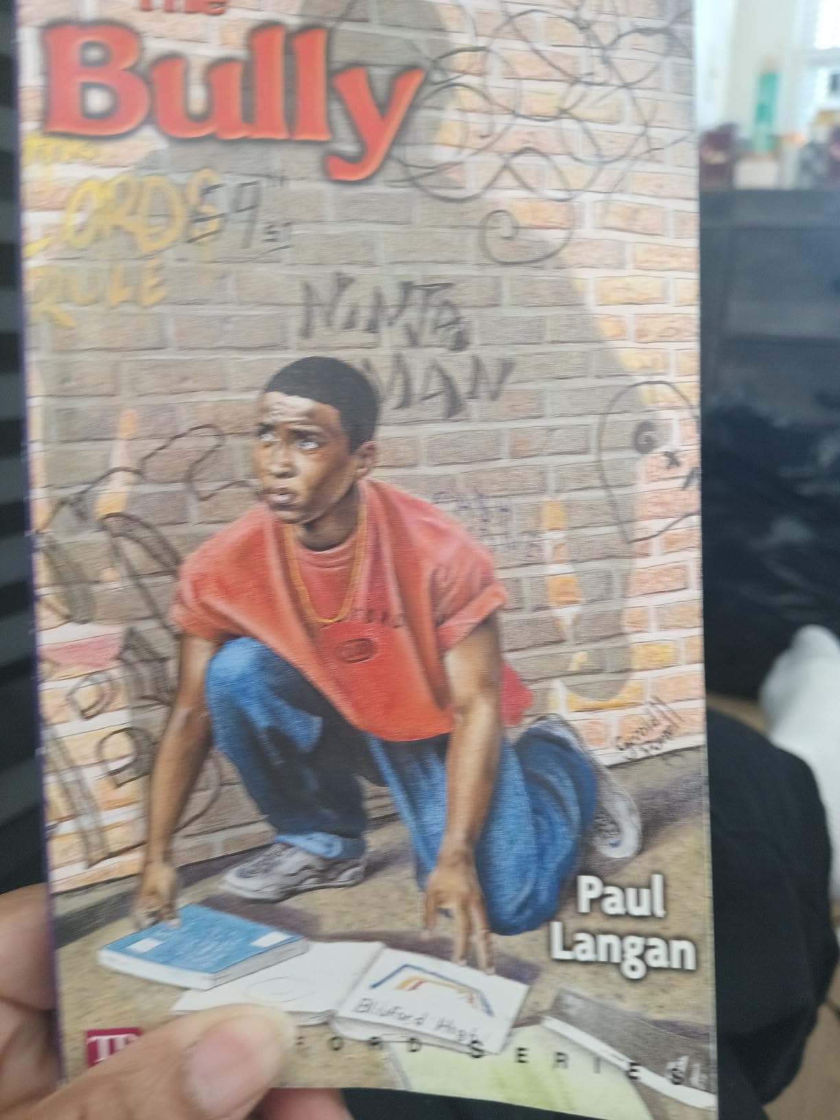 The Bully (Bluford High Series #5): Anne E. Schraff, Paul Langan ...