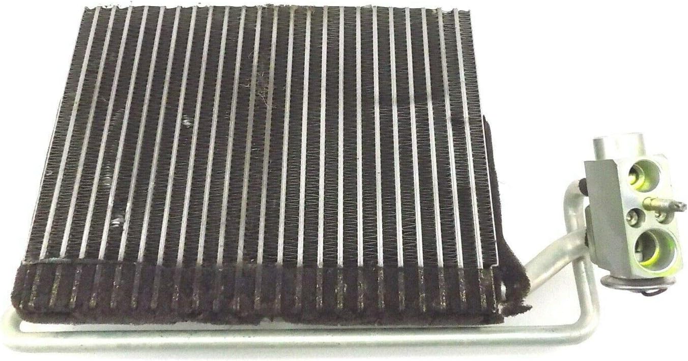 Amazon.com: AUTO PARTS LAB AC Evaporator with Expansion Valve OEM ...