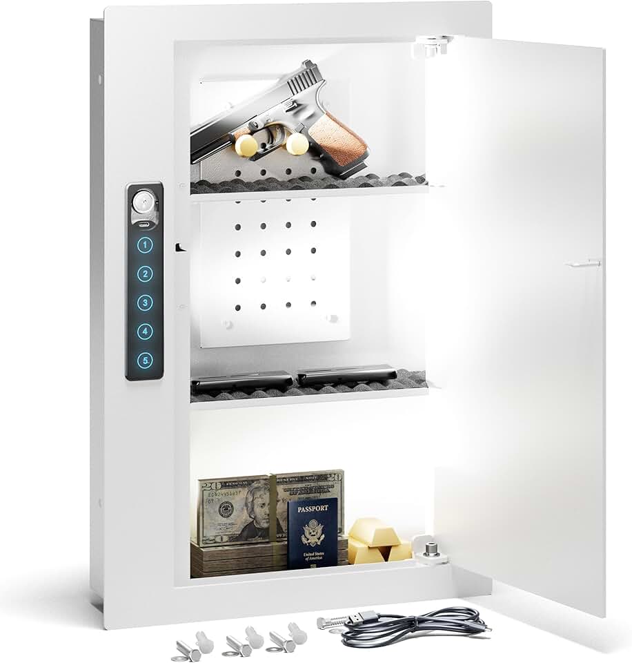 Amazon.com: Wall Safes - Wall Safes / Home Safes & Safe Accessories ...