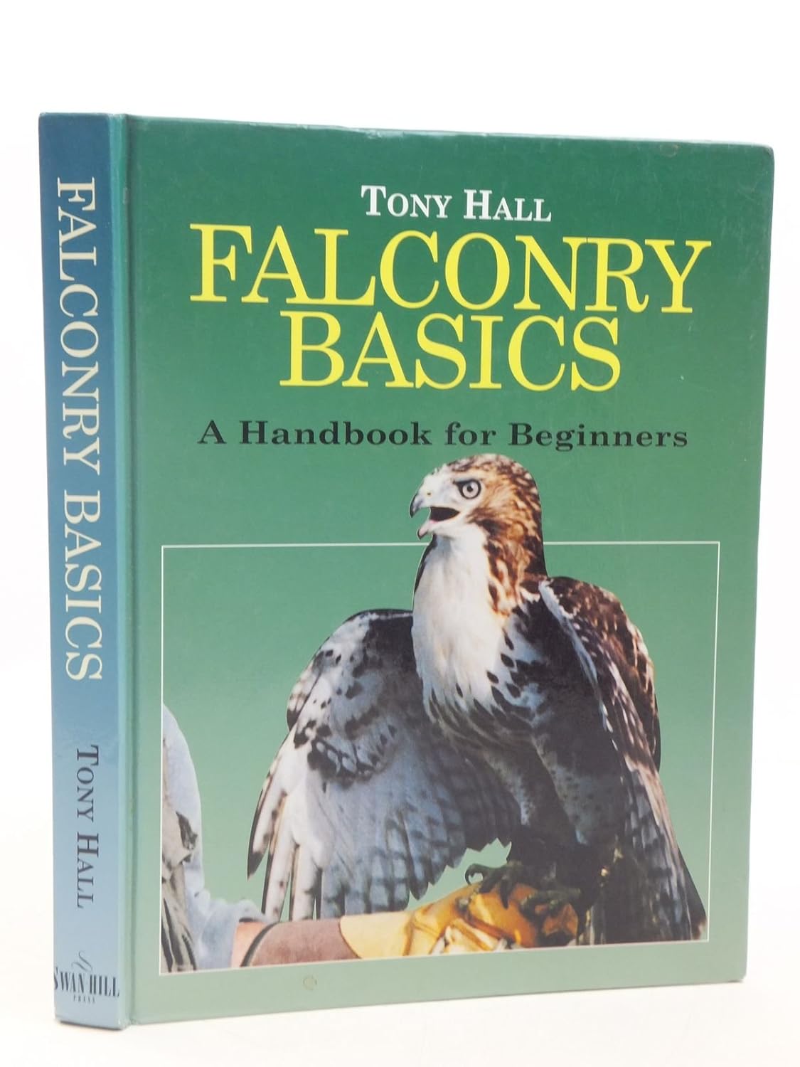 Falconry Basics: An introduction to the care, maintenance and training ...