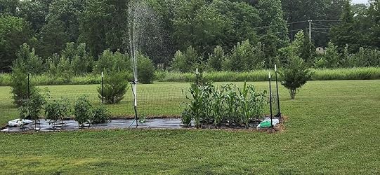 Amazon.com: Amazon Store Card