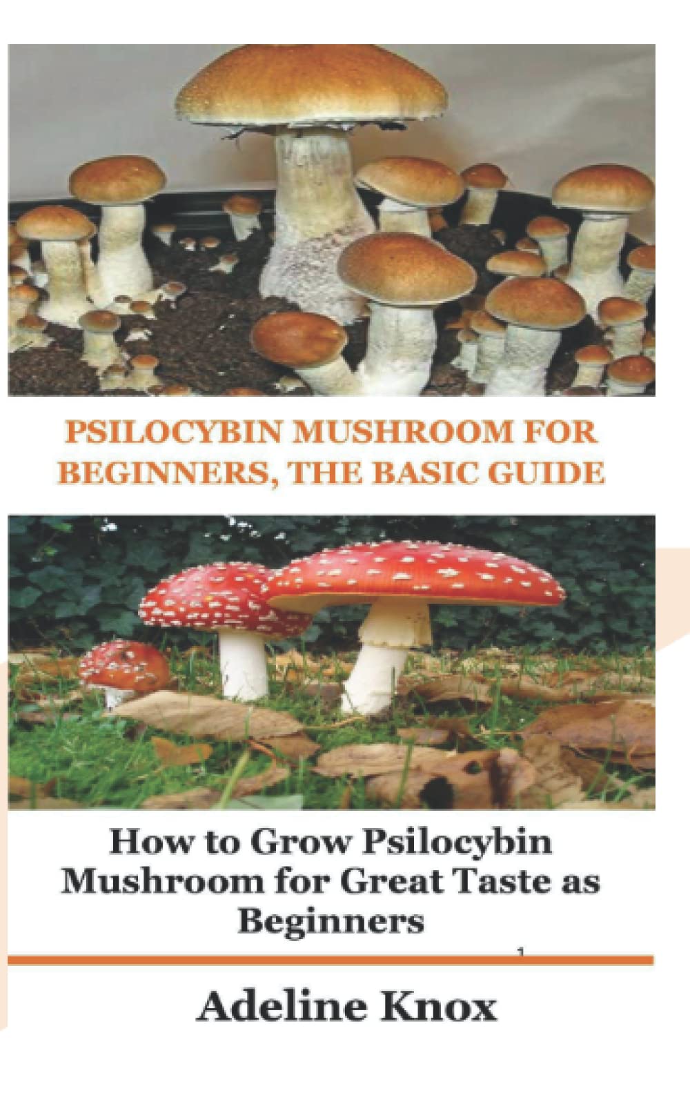 Psilocybin Mushroom For Beginners The Basic Guide How To Grow ...