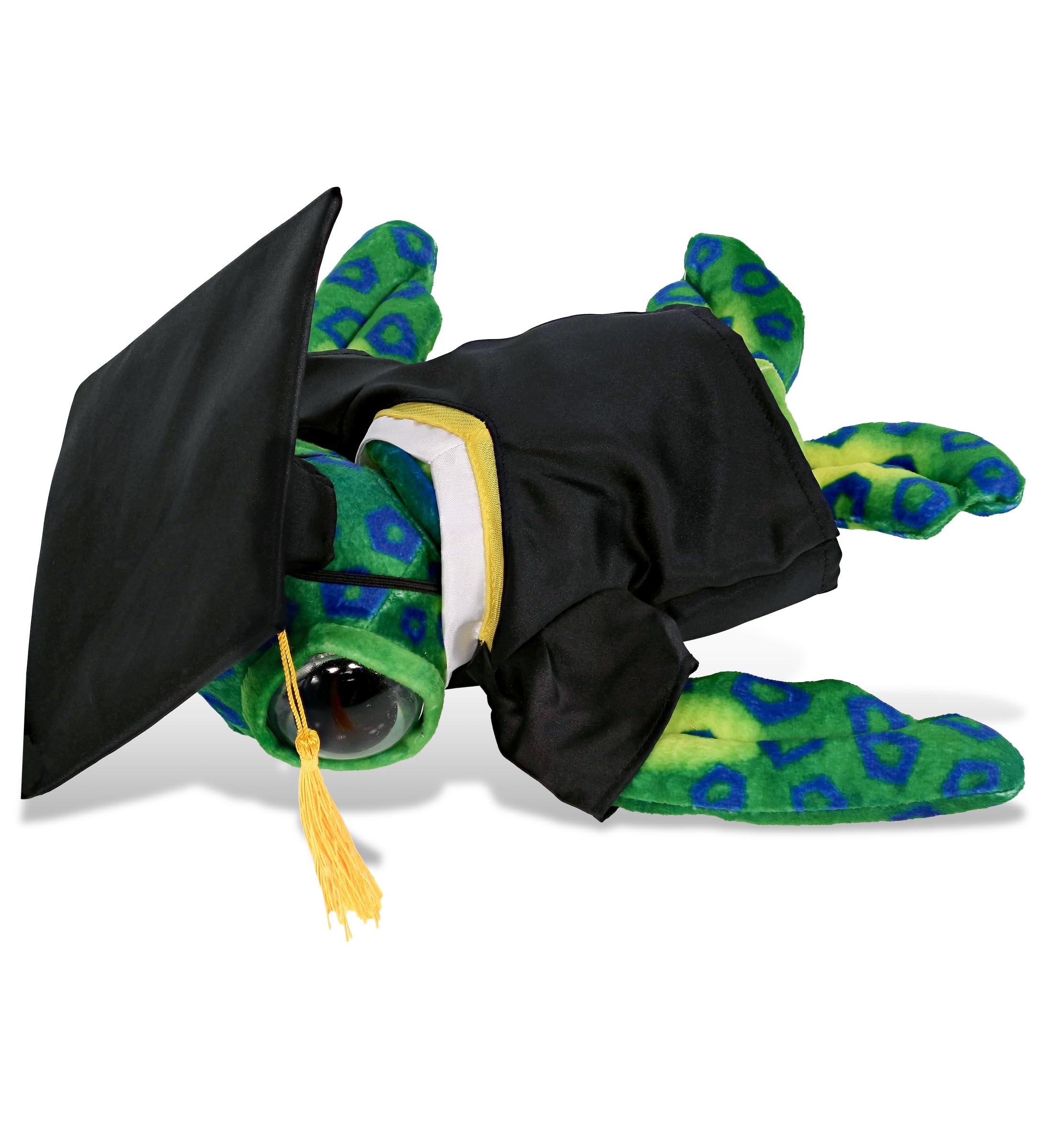 Amazon.com: DolliBu Green Sea Turtle Graduation Plush Toy - Super Soft ...