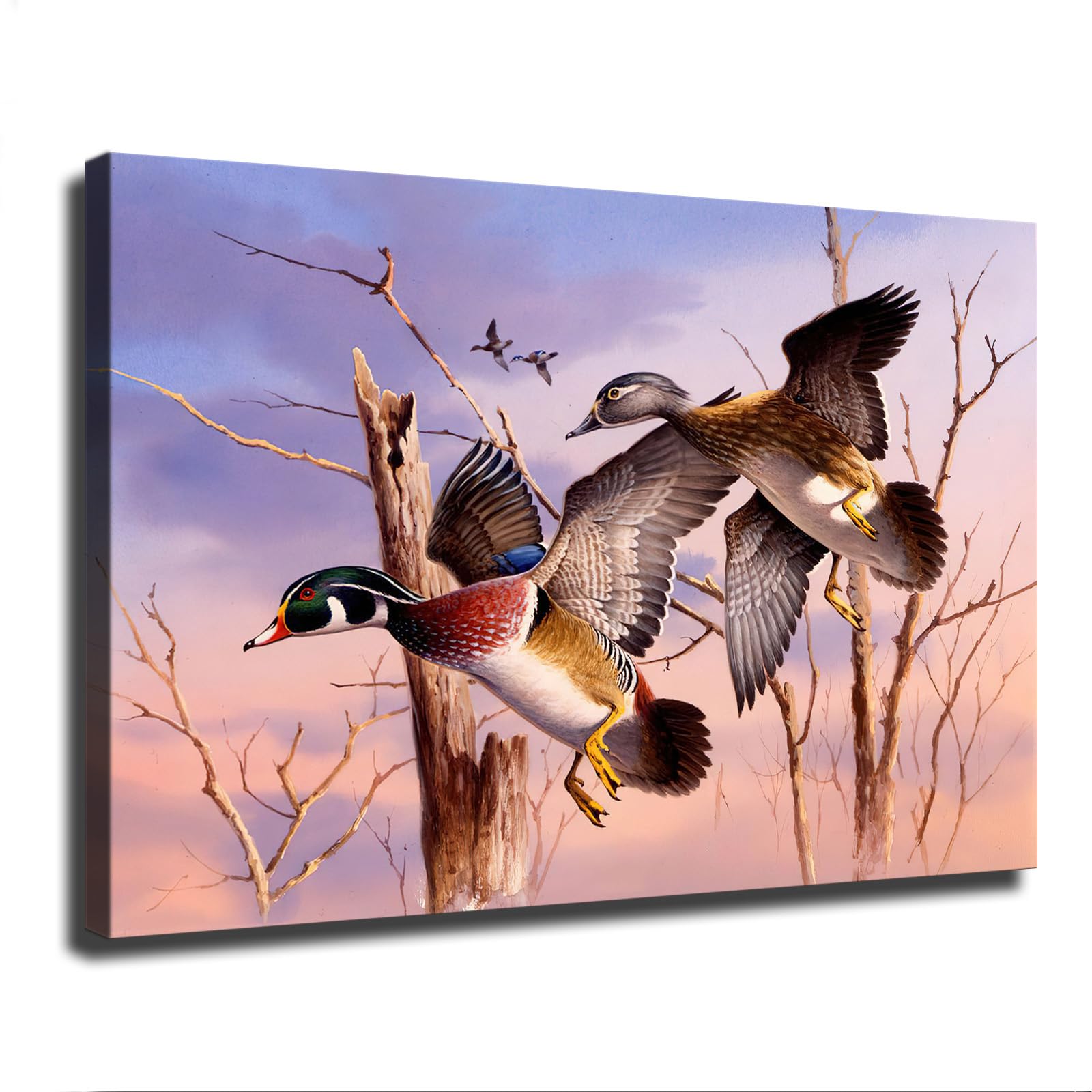 Duck Hunting Drawing