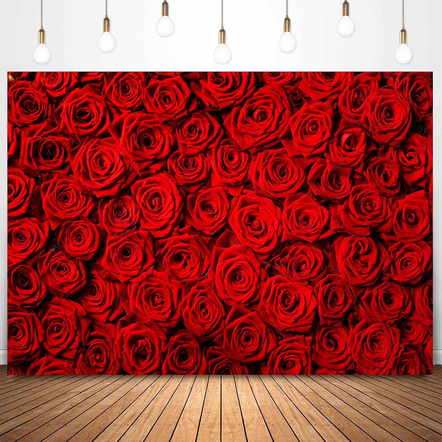 Amazon.com : Valentine's Day Red Rose Backdrop Flower Wall Romantic ...