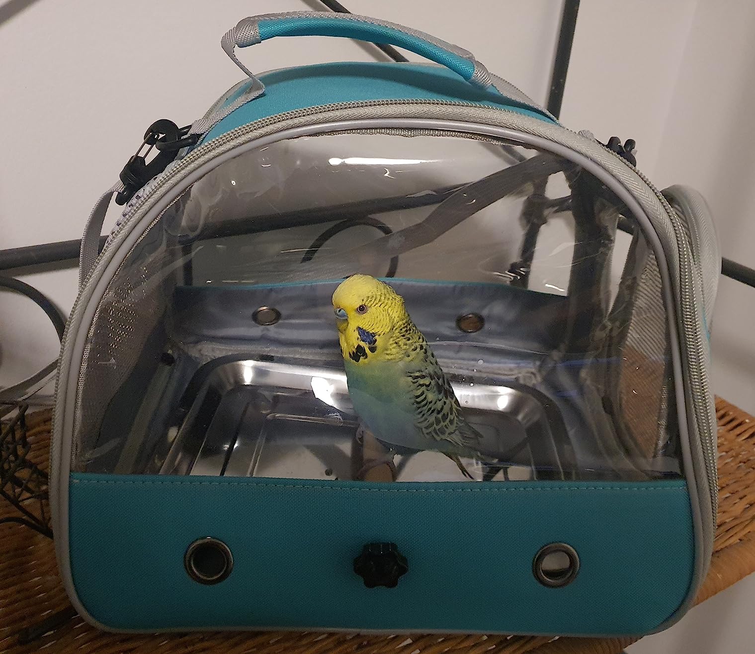 Bird Carrier Cage, Bird Travel Backpack with Stainless Steel Tray and ...